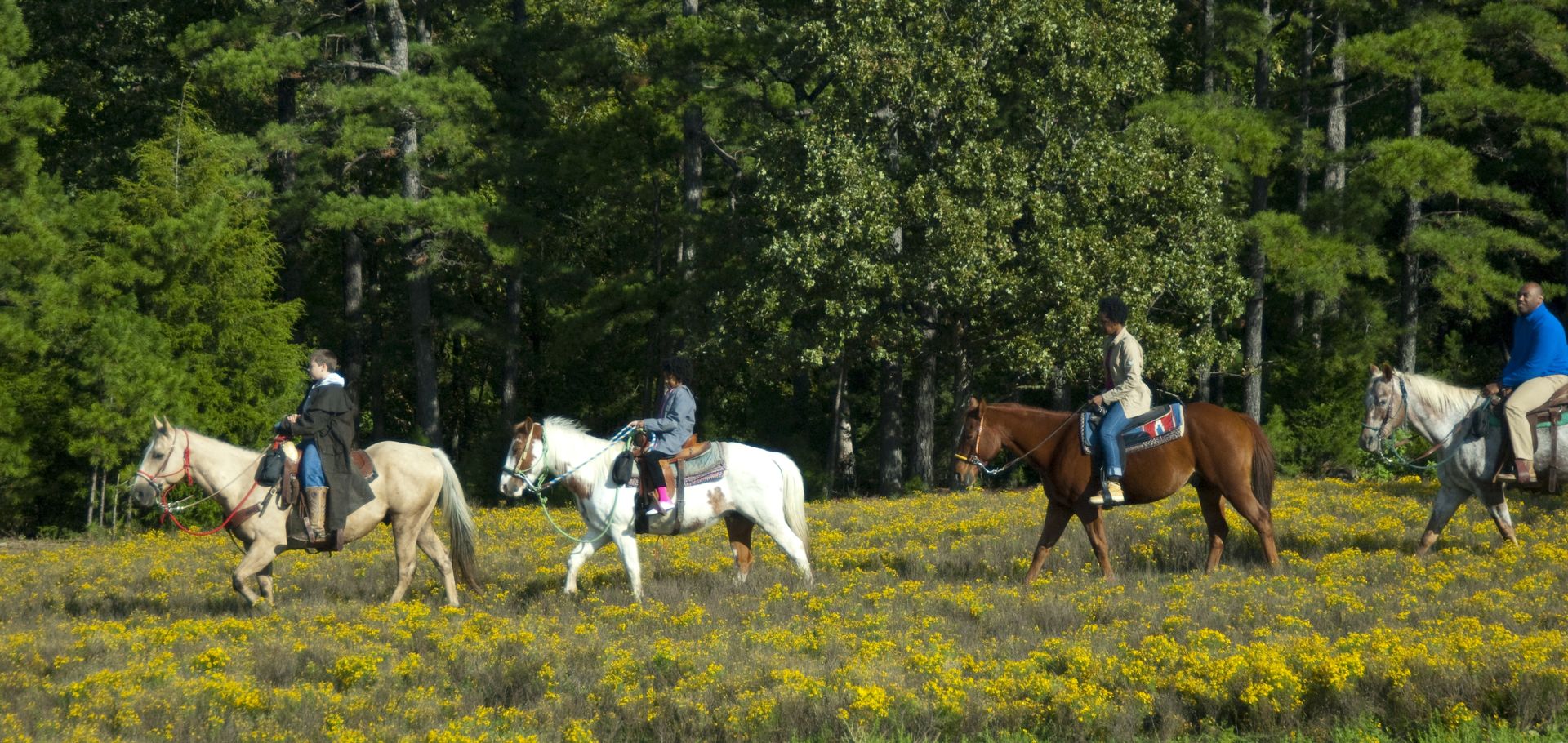 Equestrian & Horseback Riding | TravelOK.com - Oklahoma's Official ...