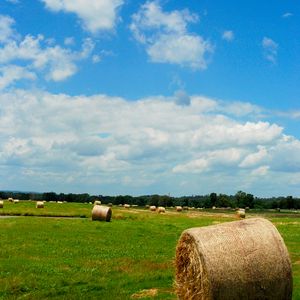 Agritourism | TravelOK.com - Oklahoma's Official Travel & Tourism Site