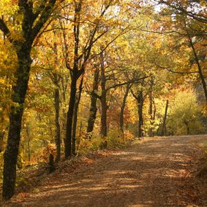 50 Ways to Celebrate Fall in Oklahoma | TravelOK.com - Oklahoma's ...