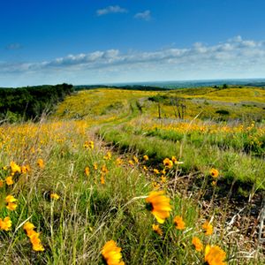 City of Davis | TravelOK.com - Oklahoma's Official Travel & Tourism Site