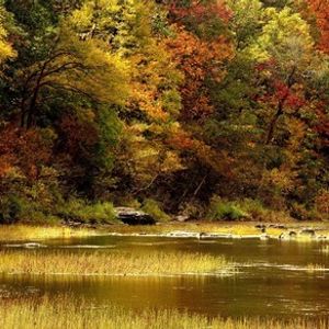 Oklahoma Fall Foliage and Festivals | TravelOK.com - Oklahoma's ...