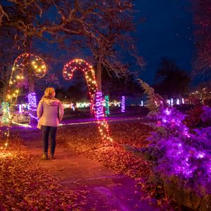 Woolaroc Wonderland of Lights | TravelOK.com - Oklahoma's Official ...