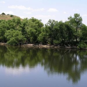 Sandy Sanders Wildlife Management Area | TravelOK.com - Oklahoma's ...