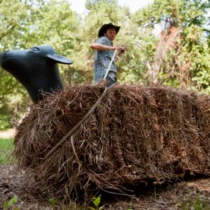 Meadow Lake Ranch | TravelOK.com - Oklahoma's Official Travel & Tourism ...