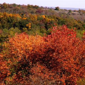 Pontotoc Ridge Preserve | TravelOK.com - Oklahoma's Official Travel ...