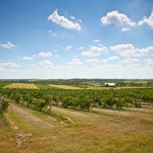 Oklahoma's Wonderful Wines & Wineries | TravelOK.com - Oklahoma's ...