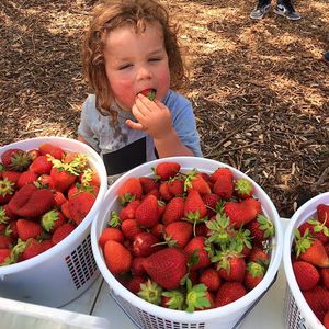 Summer Jelly-Making Farms | TravelOK.com - Oklahoma's Official Travel ...