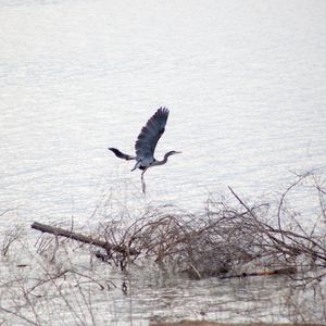 Lake Wister State Park | TravelOK.com - Oklahoma's Official Travel ...