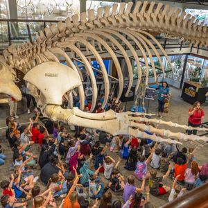 Skeletons: Museum of Osteology | TravelOK.com - Oklahoma's Official ...