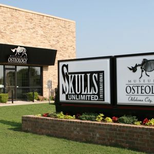 Skeletons: Museum of Osteology | TravelOK.com - Oklahoma's Official ...