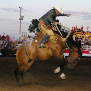 Pawnee Bill Memorial Rodeo | TravelOK.com - Oklahoma's Official Travel ...