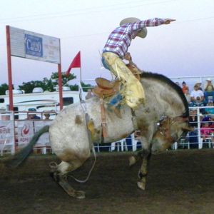 Pawnee Bill Memorial Rodeo | TravelOK.com - Oklahoma's Official Travel ...