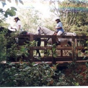 Bell Cow Lake Trail System | TravelOK.com - Oklahoma's Official Travel ...