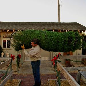 Santa's Forest Tree Farm | TravelOK.com - Oklahoma's Official Travel ...