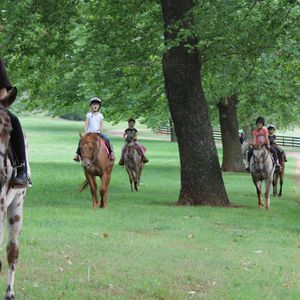 Silver Wind Stables | TravelOK.com - Oklahoma's Official Travel ...