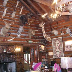 Woolaroc Museum & Wildlife Preserve | TravelOK.com - Oklahoma's ...