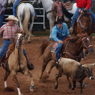 Oklahoma Rodeos | TravelOK.com - Oklahoma's Official Travel & Tourism Site