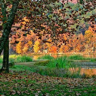Oklahoma Fall Foliage and Festivals | TravelOK.com - Oklahoma's ...