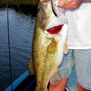 Fishing in Oklahoma | TravelOK.com - Oklahoma's Official Travel ...