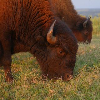 TravelOK.com - Oklahoma's Official Travel & Tourism Site