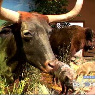 Oklahoma Road Trips | TravelOK.com - Oklahoma's Official Travel ...