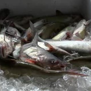 Fishing in Oklahoma | TravelOK.com - Oklahoma's Official Travel ...