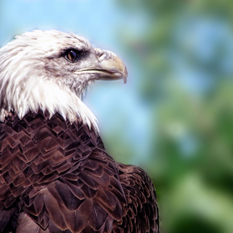 Tulsa Zoo | TravelOK.com - Oklahoma's Official Travel & Tourism Site