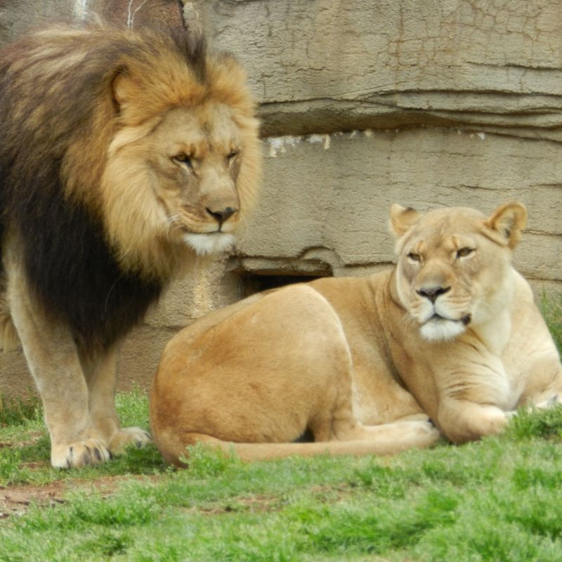 Tulsa Zoo | TravelOK.com - Oklahoma's Official Travel & Tourism Site