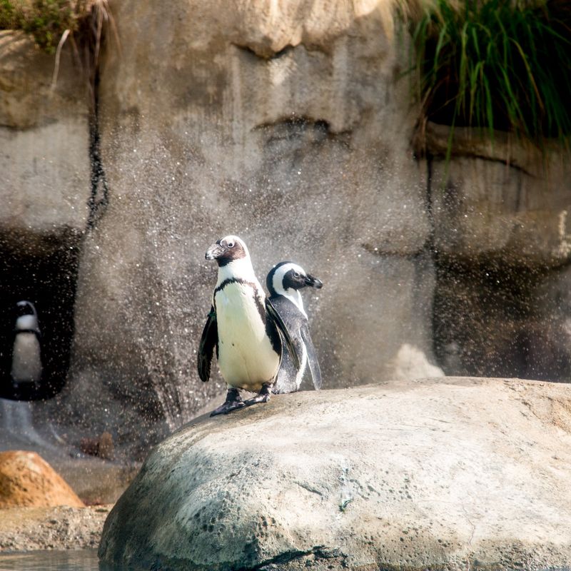 Tulsa Zoo | TravelOK.com - Oklahoma's Official Travel & Tourism Site