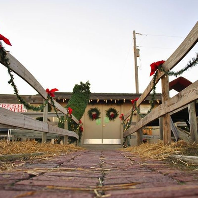 Santa's Forest Tree Farm | TravelOK.com - Oklahoma's Official Travel ...