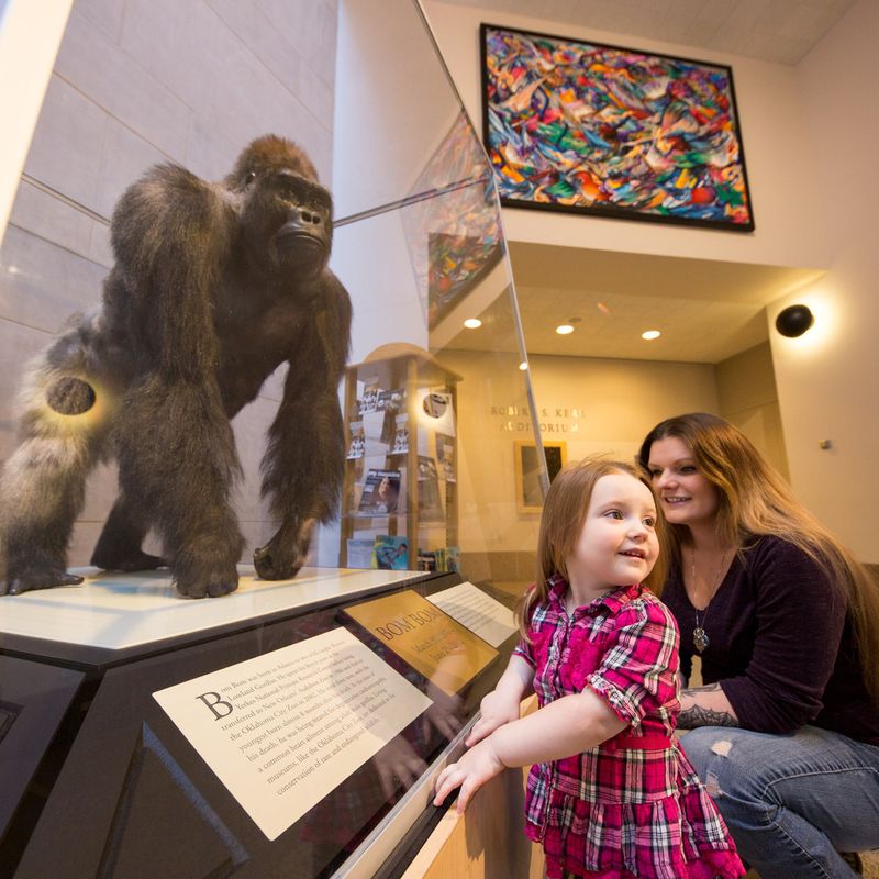 Sam Noble Oklahoma Museum of Natural History | TravelOK.com - Oklahoma ...