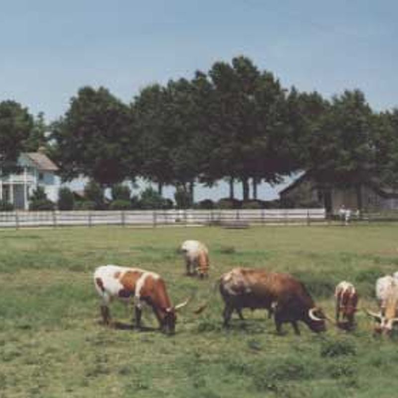 Will Rogers Birthplace Ranch (Dog Iron Ranch) | TravelOK.com - Oklahoma ...