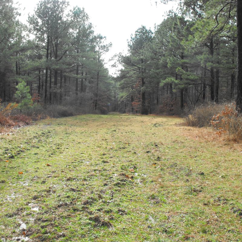 Three Rivers Wildlife Management Area | TravelOK.com - Oklahoma's ...