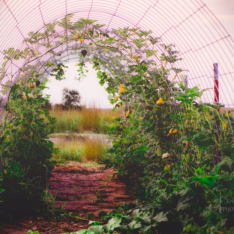 Rustic Roots | TravelOK.com - Oklahoma's Official Travel & Tourism Site