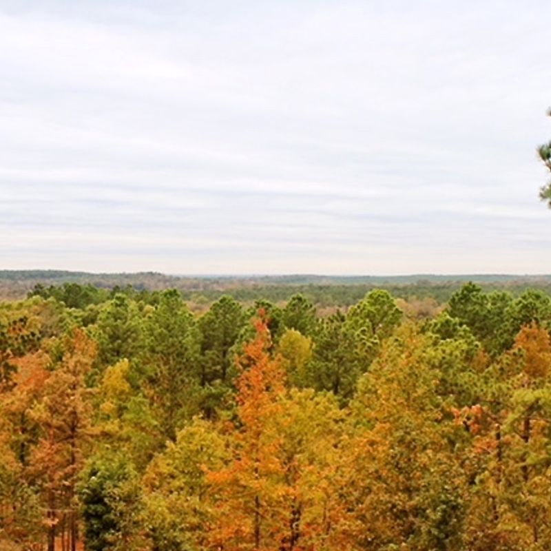 Mountain Vista Luxury Cabin | TravelOK.com - Oklahoma's Official Travel ...