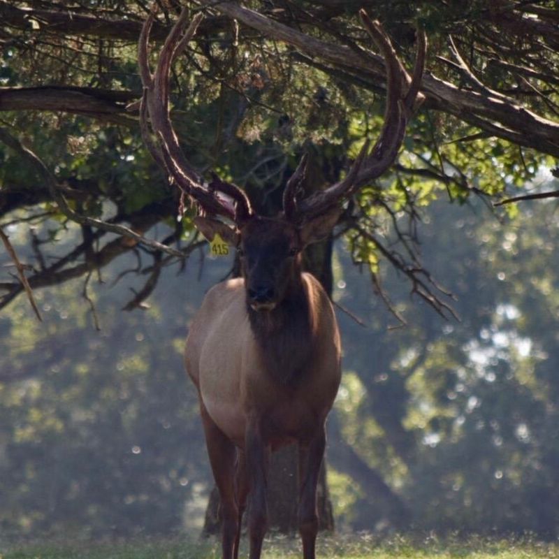 Rebel Hill Guest Ranch | TravelOK.com - Oklahoma's Official Travel ...