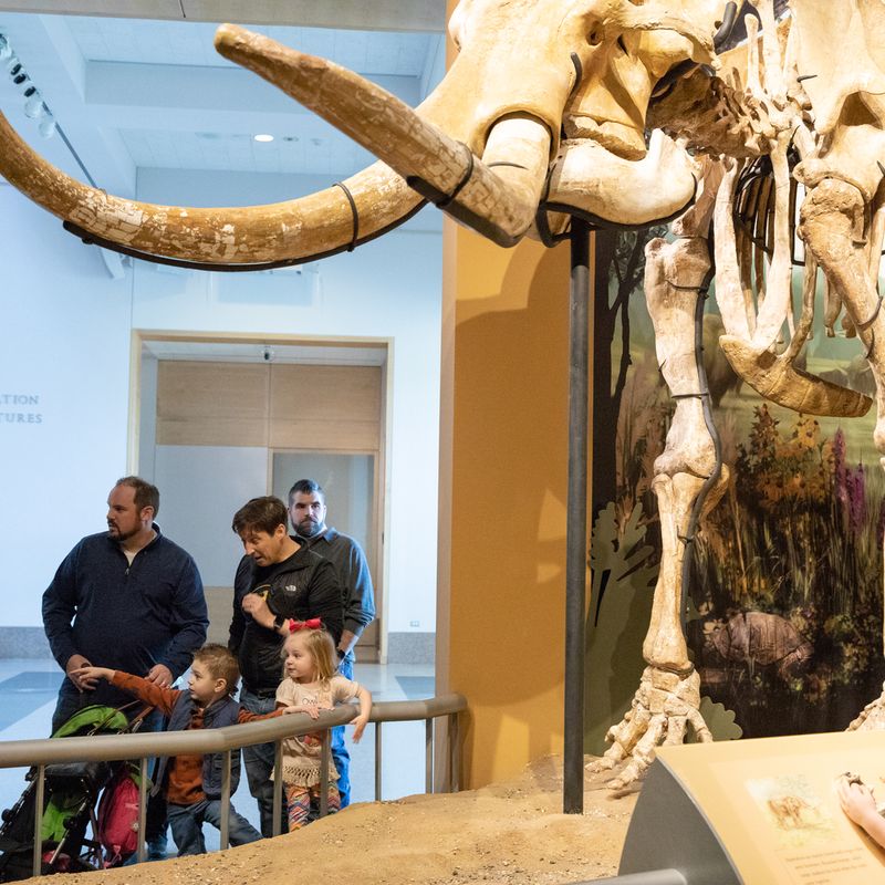 Sam Noble Oklahoma Museum of Natural History | TravelOK.com - Oklahoma ...