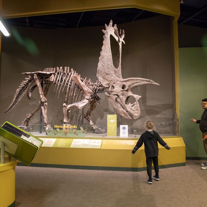 Sam Noble Oklahoma Museum of Natural History | TravelOK.com - Oklahoma ...