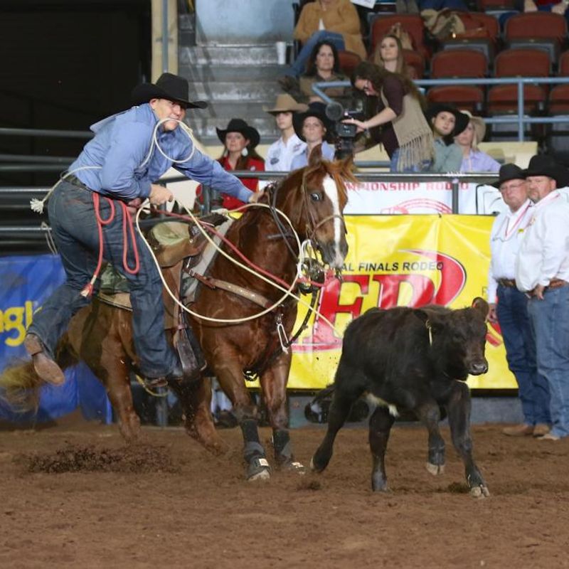 International Finals Rodeo | TravelOK.com - Oklahoma's Official Travel ...
