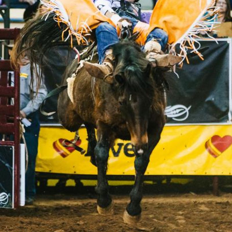 International Finals Rodeo | TravelOK.com - Oklahoma's Official Travel ...