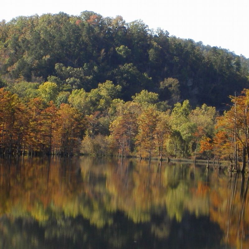 Beavers Bend Lodge | TravelOK.com - Oklahoma's Official Travel ...