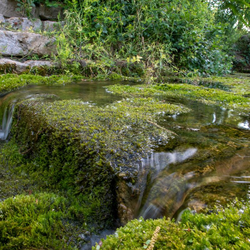 Boiling Springs State Park | TravelOK.com - Oklahoma's Official Travel ...