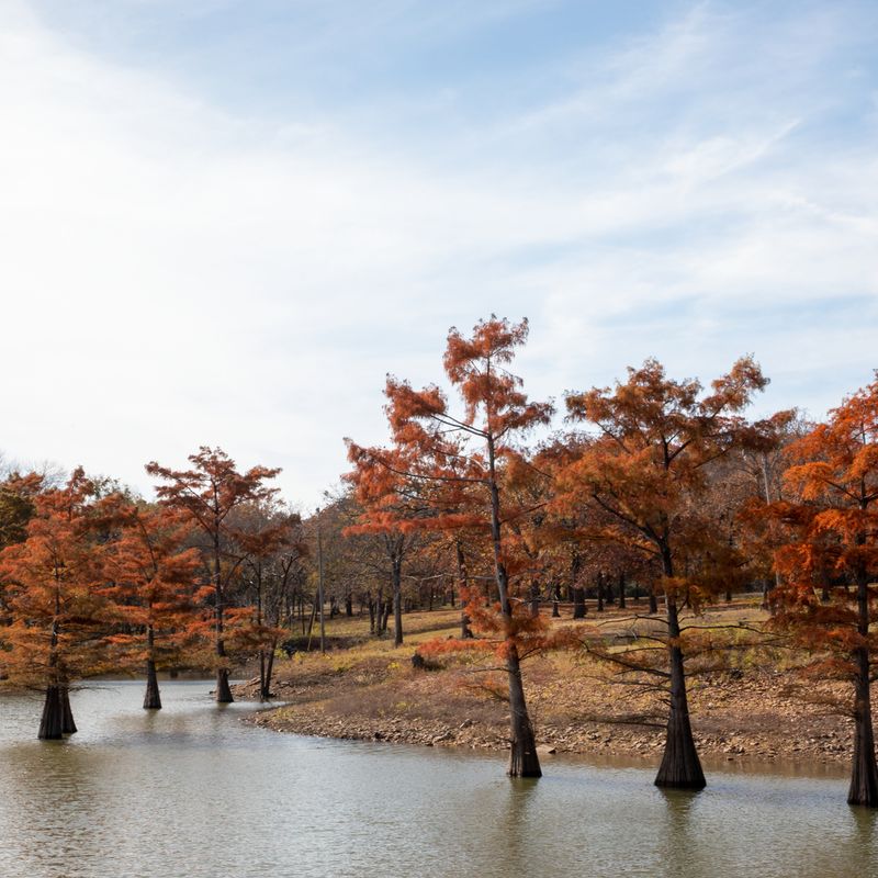 Sequoyah State Park | TravelOK.com - Oklahoma's Official Travel ...