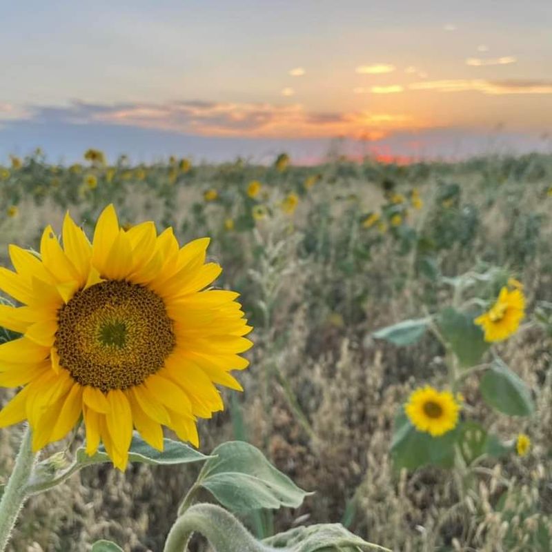 Rustic Roots | TravelOK.com - Oklahoma's Official Travel & Tourism Site