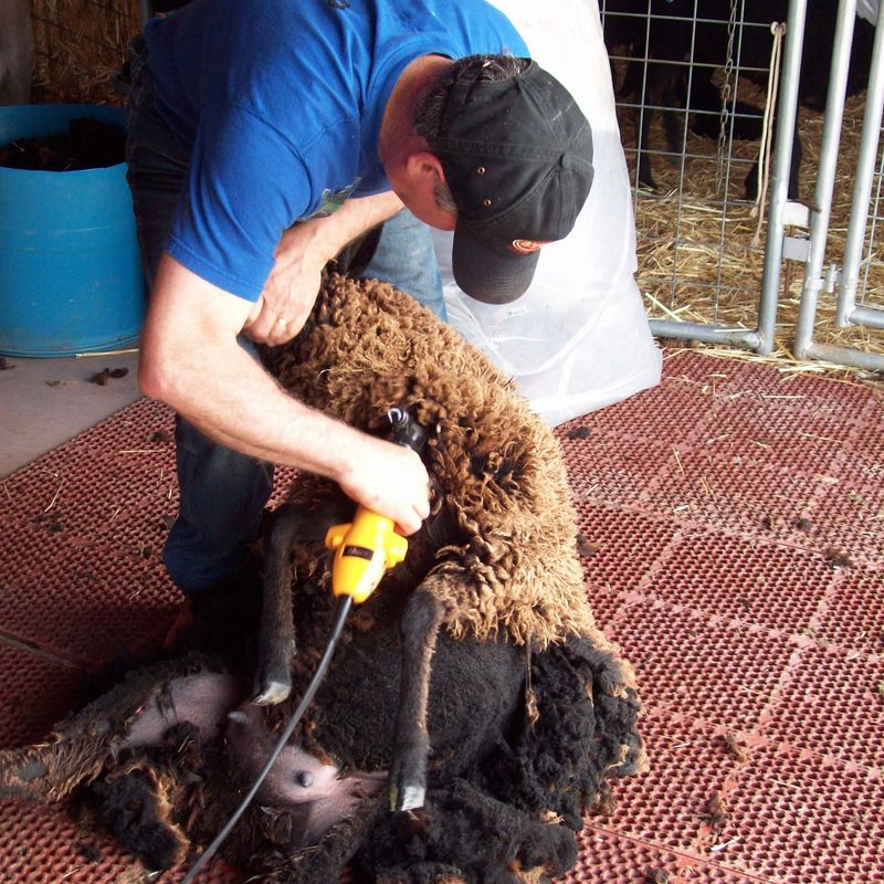 Shepherd's Cross | TravelOK.com - Oklahoma's Official Travel & Tourism Site