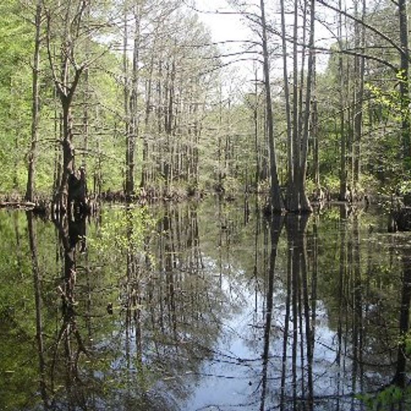 Little River National Wildlife Refuge | TravelOK.com - Oklahoma's ...