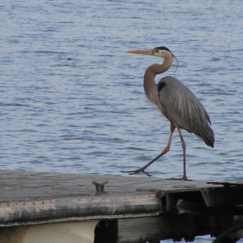 Kaw Lake | TravelOK.com - Oklahoma's Official Travel & Tourism Site