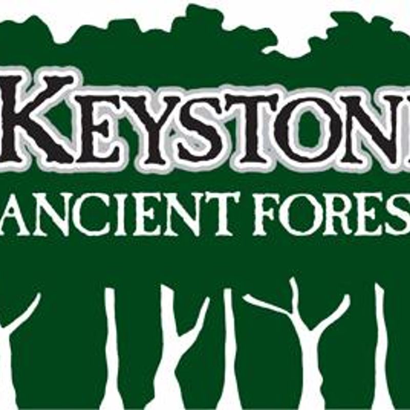 Keystone Ancient Forest | TravelOK.com - Oklahoma's Official Travel ...