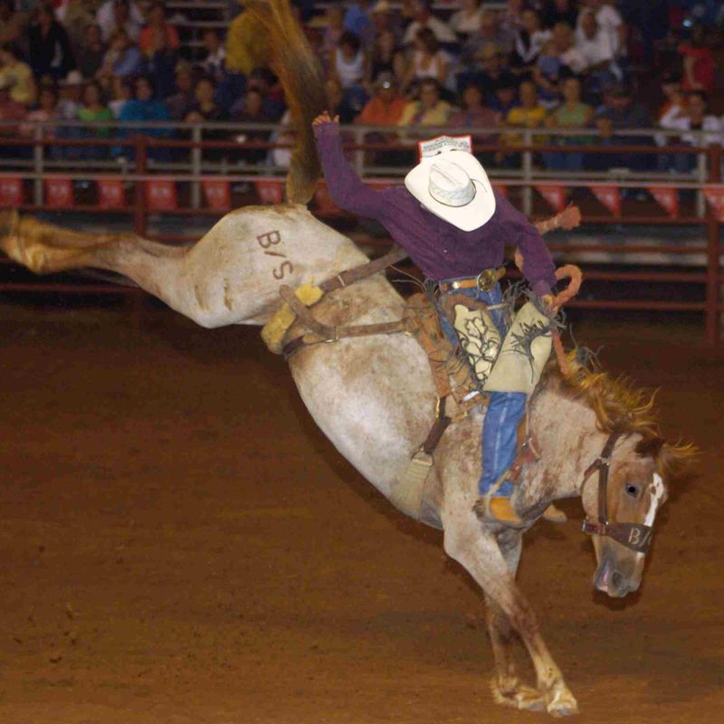 PRCA Rodeo of Champions | TravelOK.com - Oklahoma's Official Travel ...