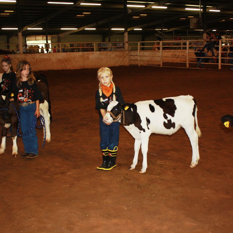 McClain County Free Fair | TravelOK.com - Oklahoma's Official Travel ...